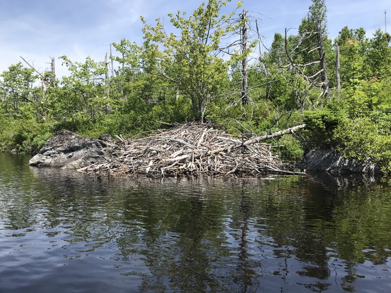 Second Paddle – Still Bitchy After 60 Blog