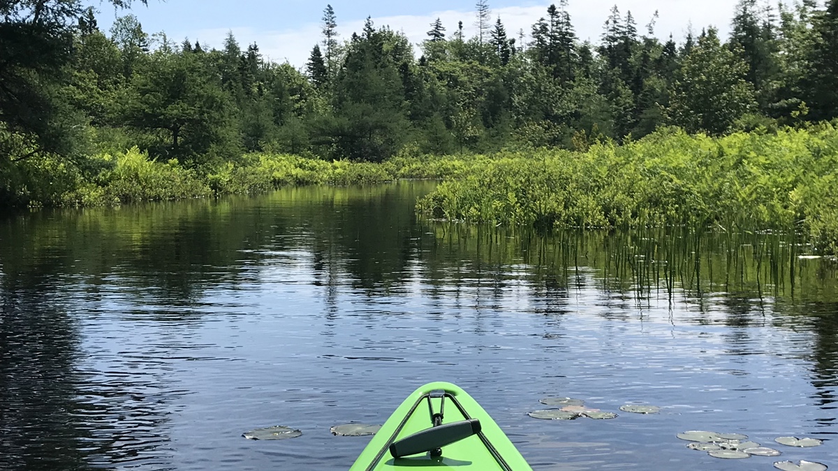 Second Paddle – Still Bitchy After 60 Blog