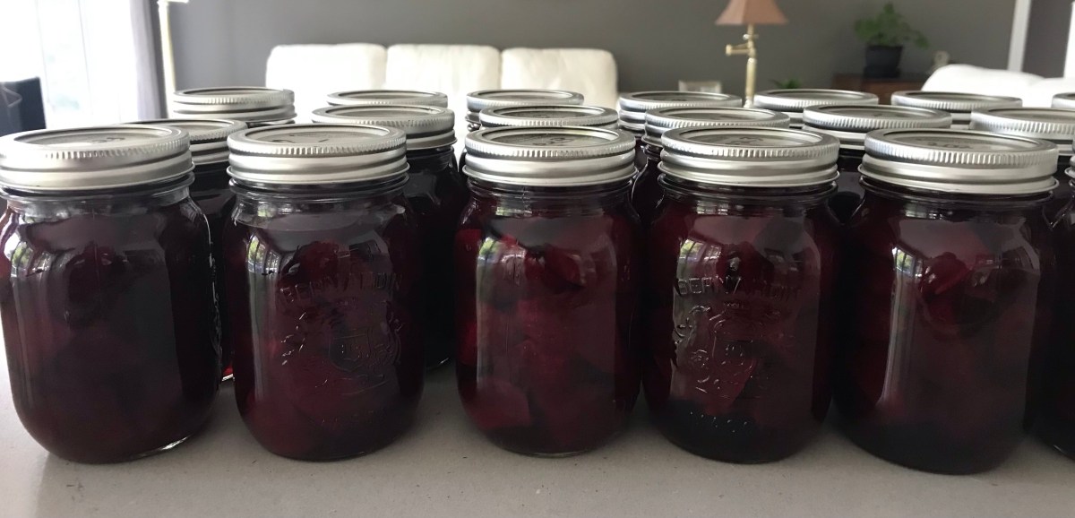 Spicy Beet Day – Still Bitchy After 60 Blog